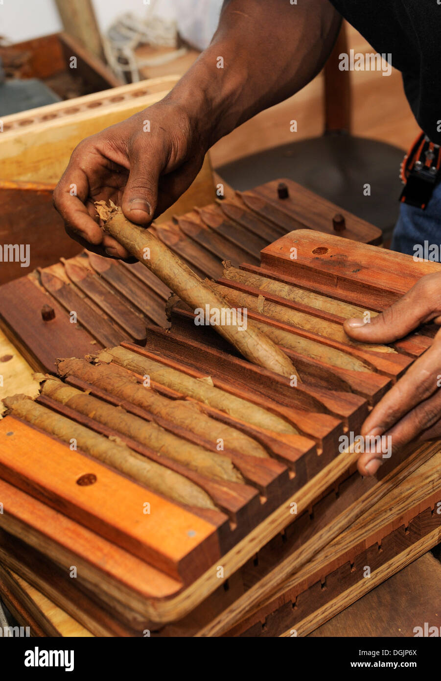 Freshly rolled cigar hi-res stock photography and images - Alamy