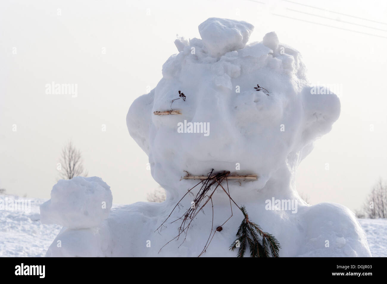 snow man - head Stock Photo - Alamy