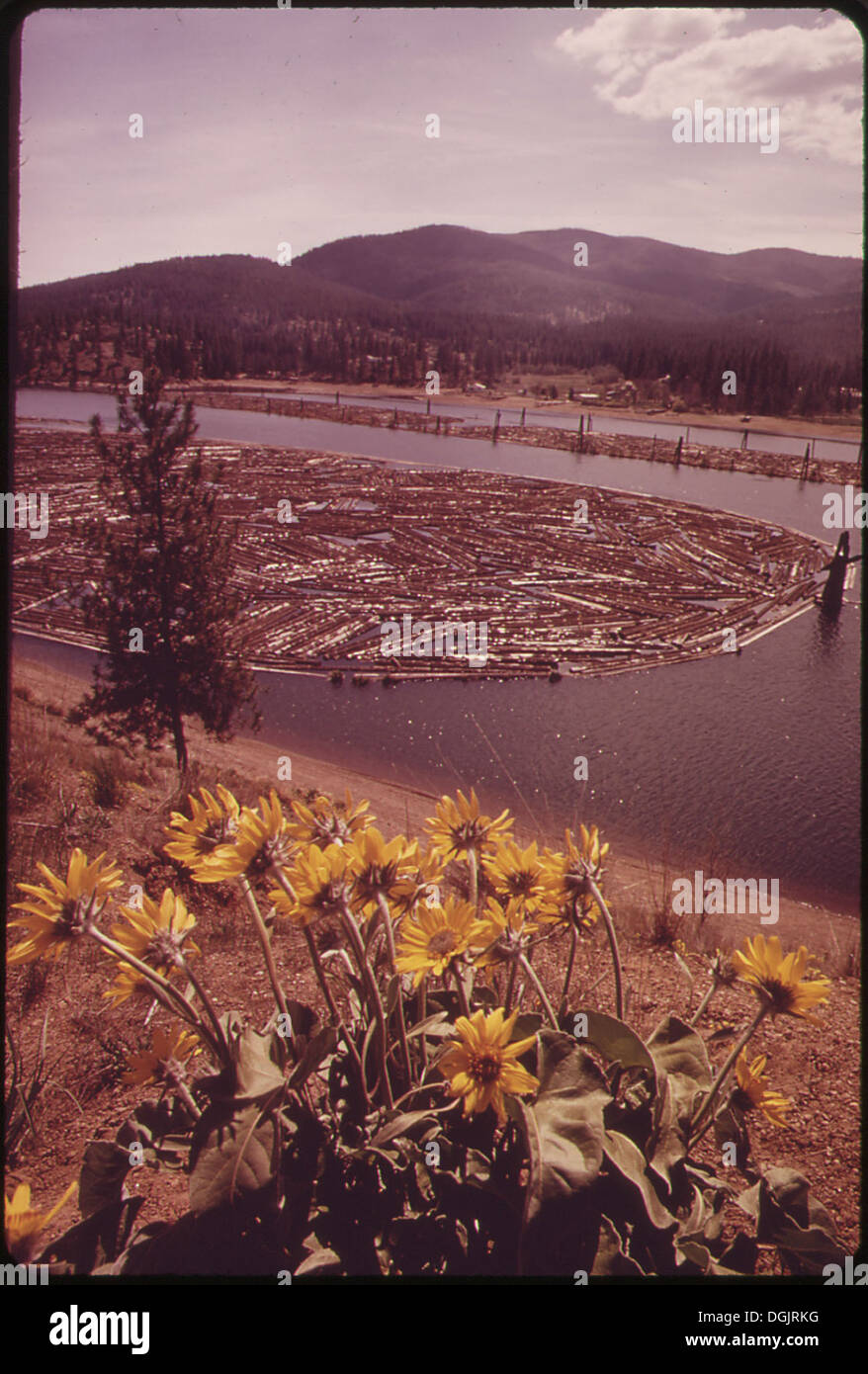 The Spokane River at Post Falls, Idaho, features a log boom from the ...