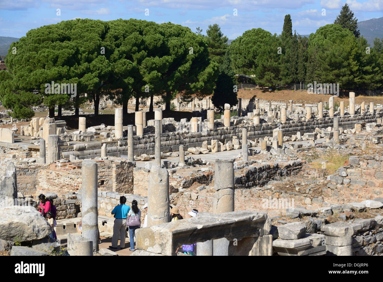 Baths of Varius, excavation site, ancient city of Ephesus, Efes, UNESCO ...