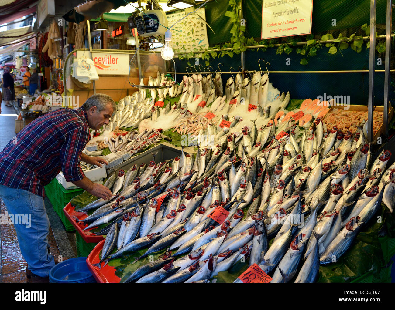 Fishmonger at a market, Kadiköy, Istanbul, Asian side, Istanbul ...