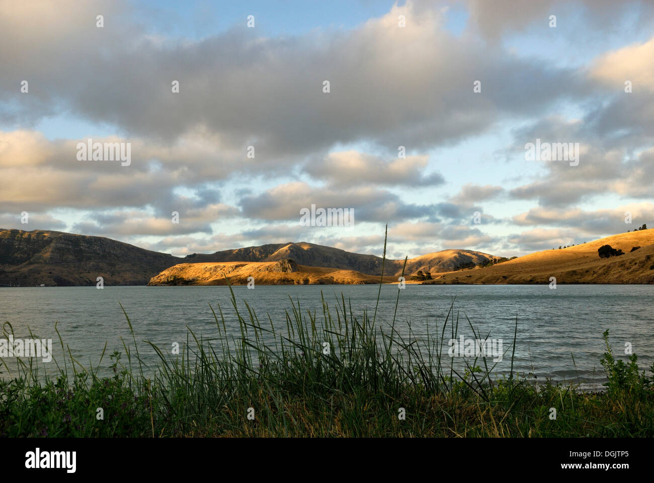 Levy hi-res stock photography and images - Alamy