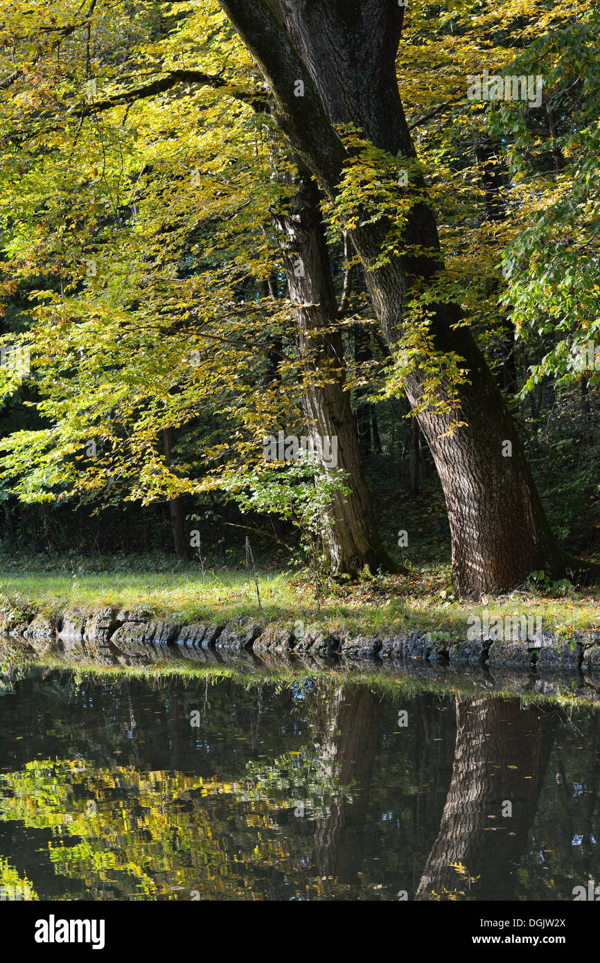 Peaceful Tree Landscape with Early Autumn Colors Stock Photo - Alamy