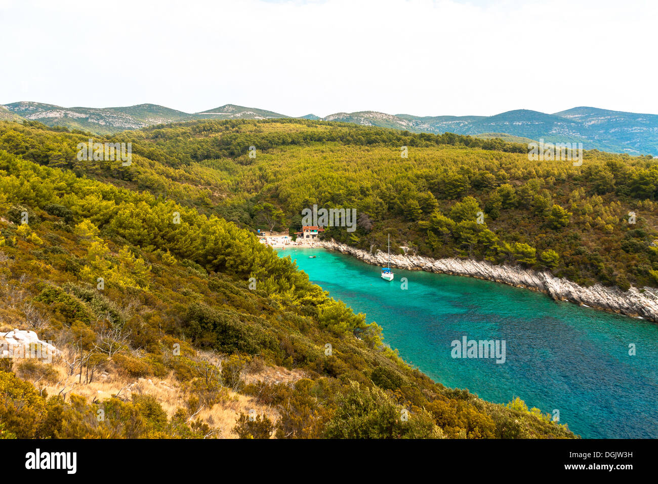 Zitna hi-res stock photography and images - Alamy