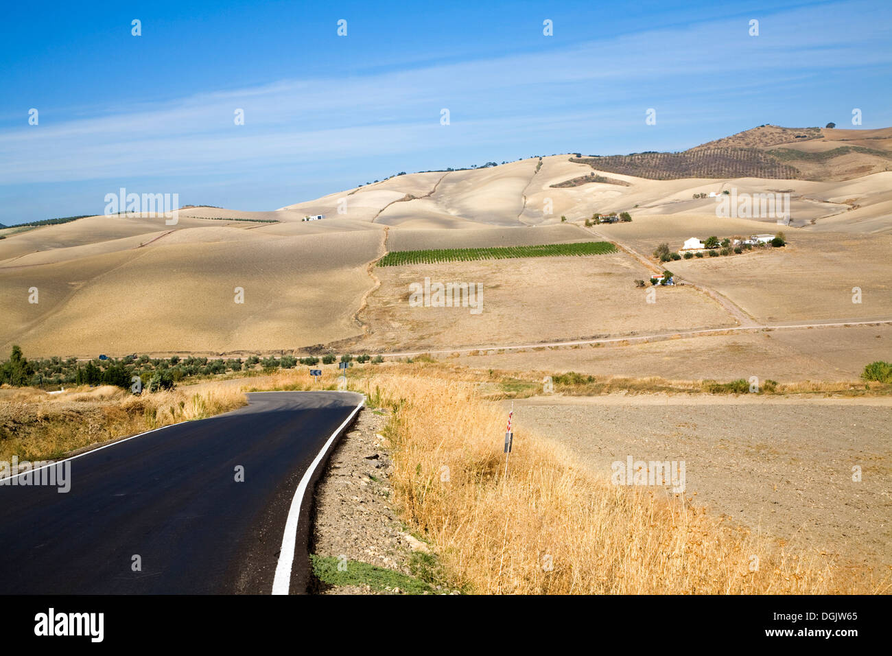 Road through rolling countryside blue sky autumn Andalusia, near El ...