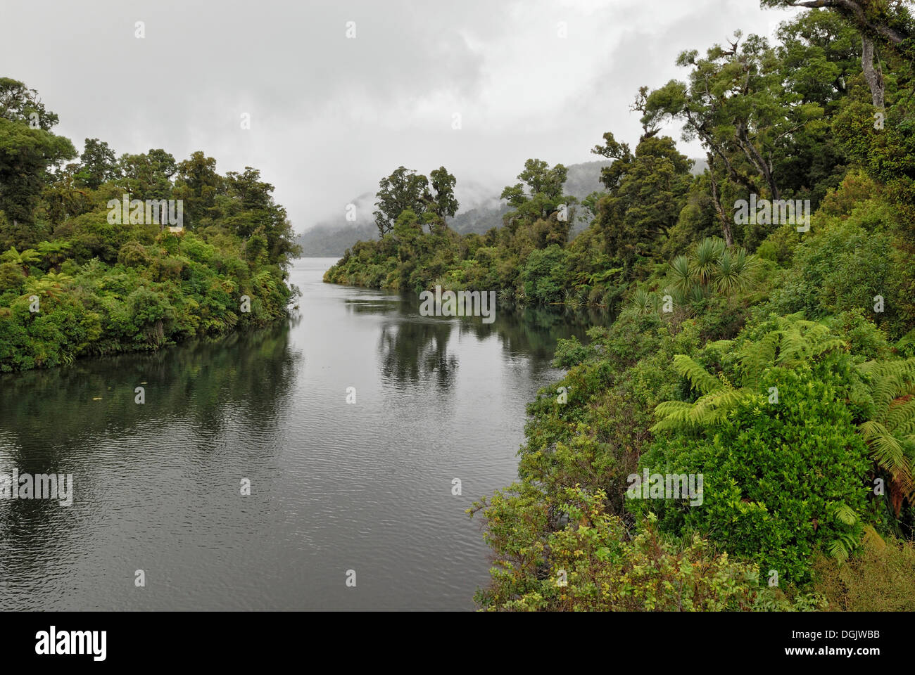 Lake Moeraki and Moeraki River, near Haast, Highway 6, South Island ...