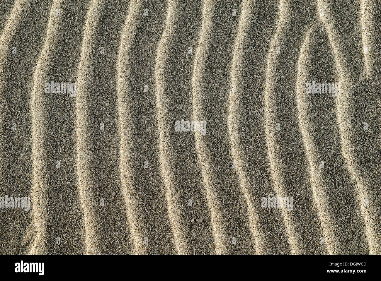 Sand structures, Farewell Spit Nature Reserve, Golden Bay, South Island ...
