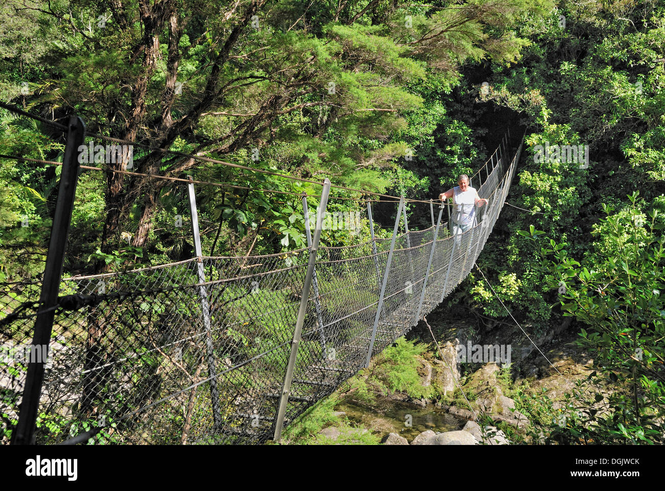 Rain Rainforest Bridge Wood High Resolution Stock Photography and ...