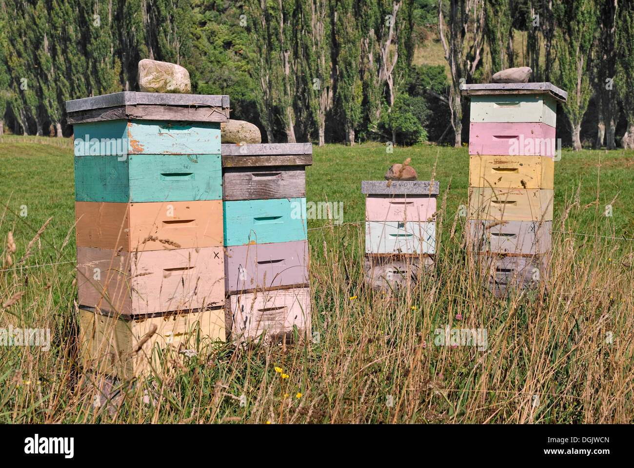 Beehive boxes hi-res stock photography and images - Alamy