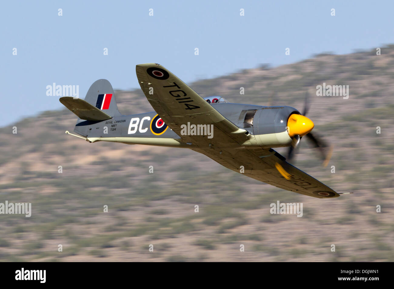 Hawker Sea Fury "Argonaut" in flight during the 2013 National ...