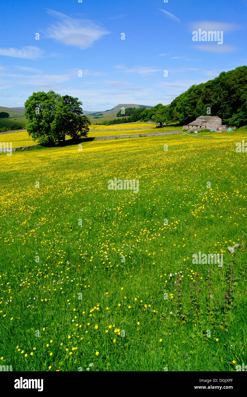 Farmland british isles hi-res stock photography and images - Alamy