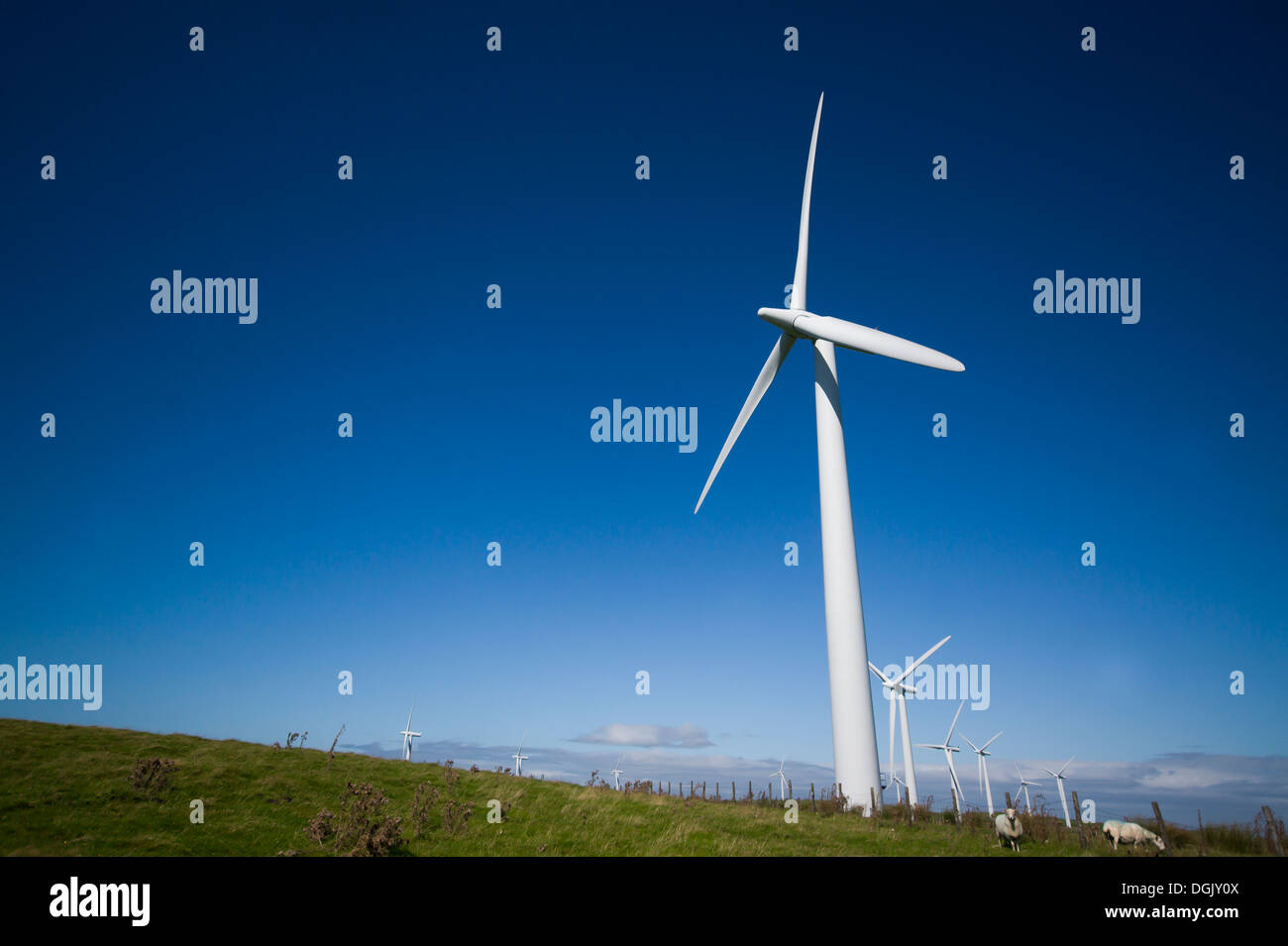 A view of a wind turbine Stock Photo - Alamy