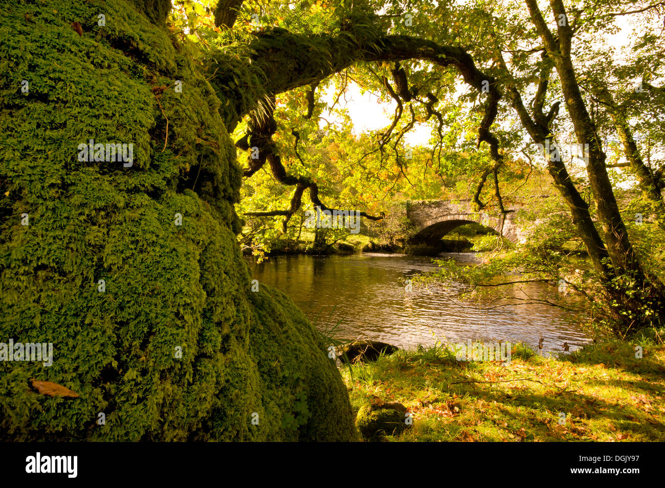 River llugwy hi-res stock photography and images - Alamy