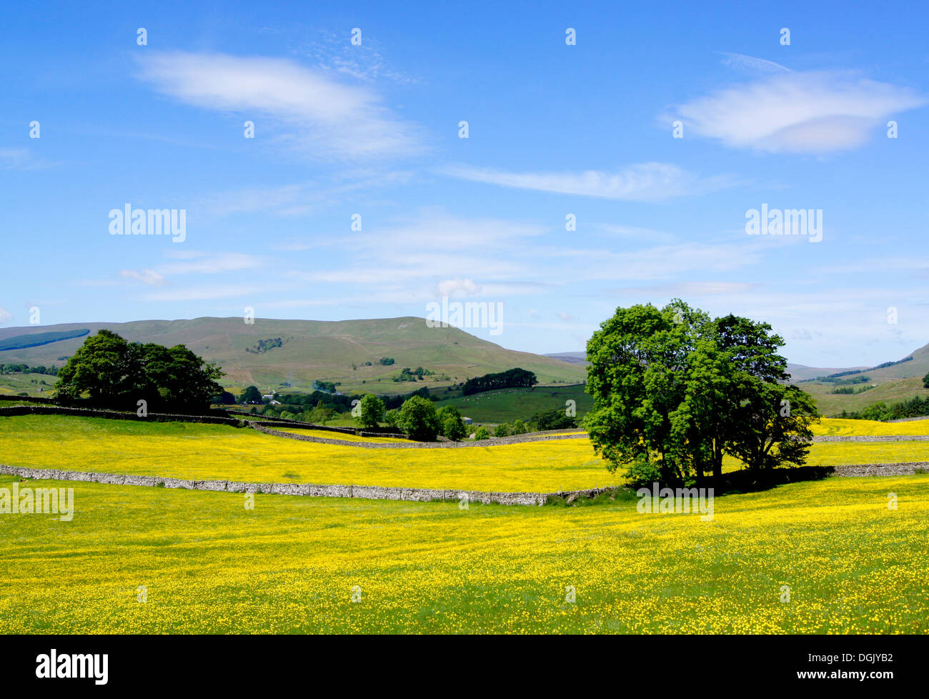 Flourished hi-res stock photography and images - Alamy