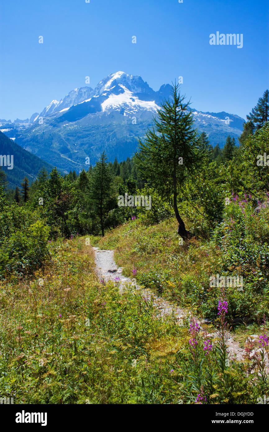Alpine landscape in Mont Blanc-France Stock Photo - Alamy