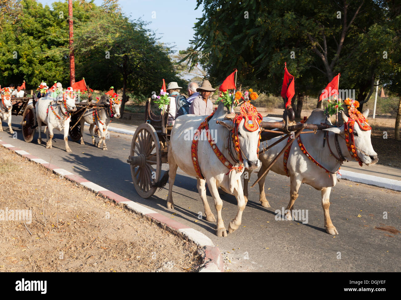 Decorated bullock carts hi-res stock photography and images - Alamy