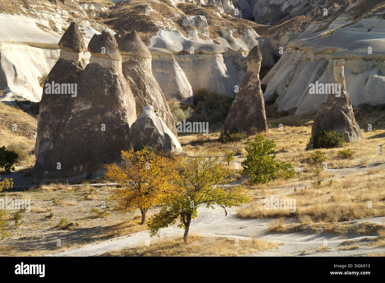 Velley Zelve in Cappadocia Turkey with stone mushrooms Stock Photo - Alamy