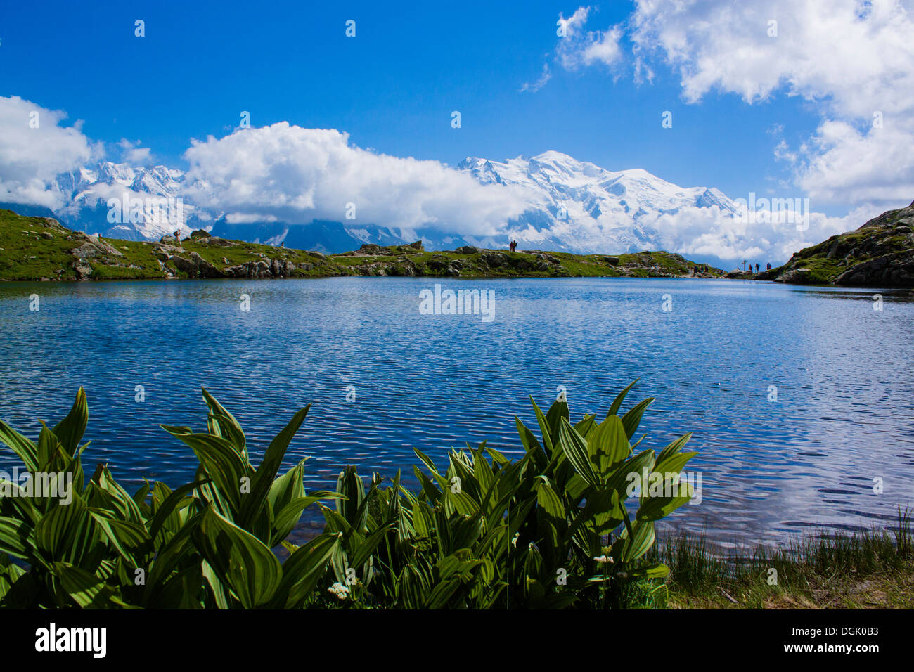 Alpine landscape in Mont Blanc-France Stock Photo - Alamy