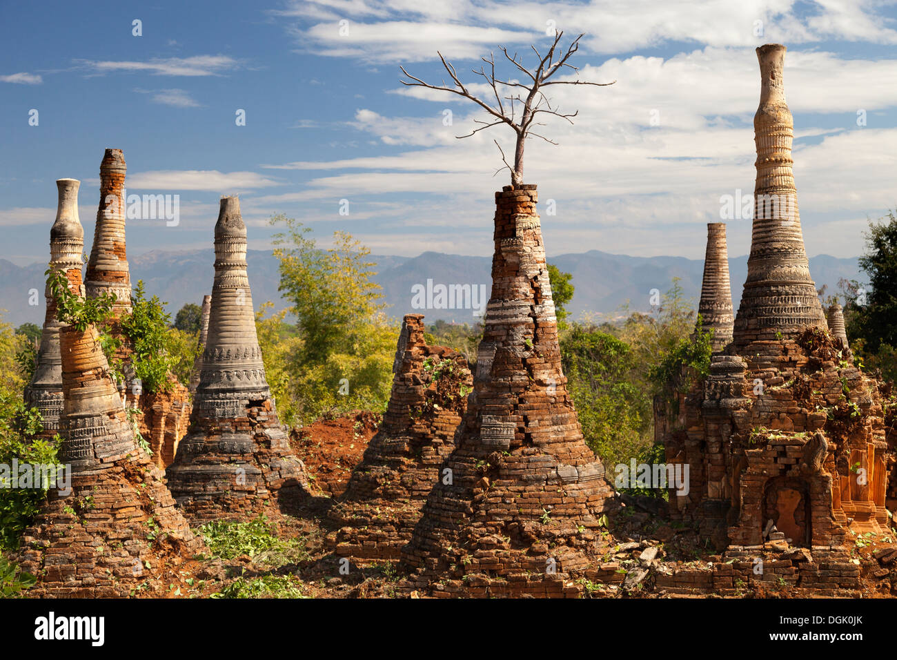 The abandoned and overgrown pagodas of Inn Thein in Myanmar Stock Photo ...