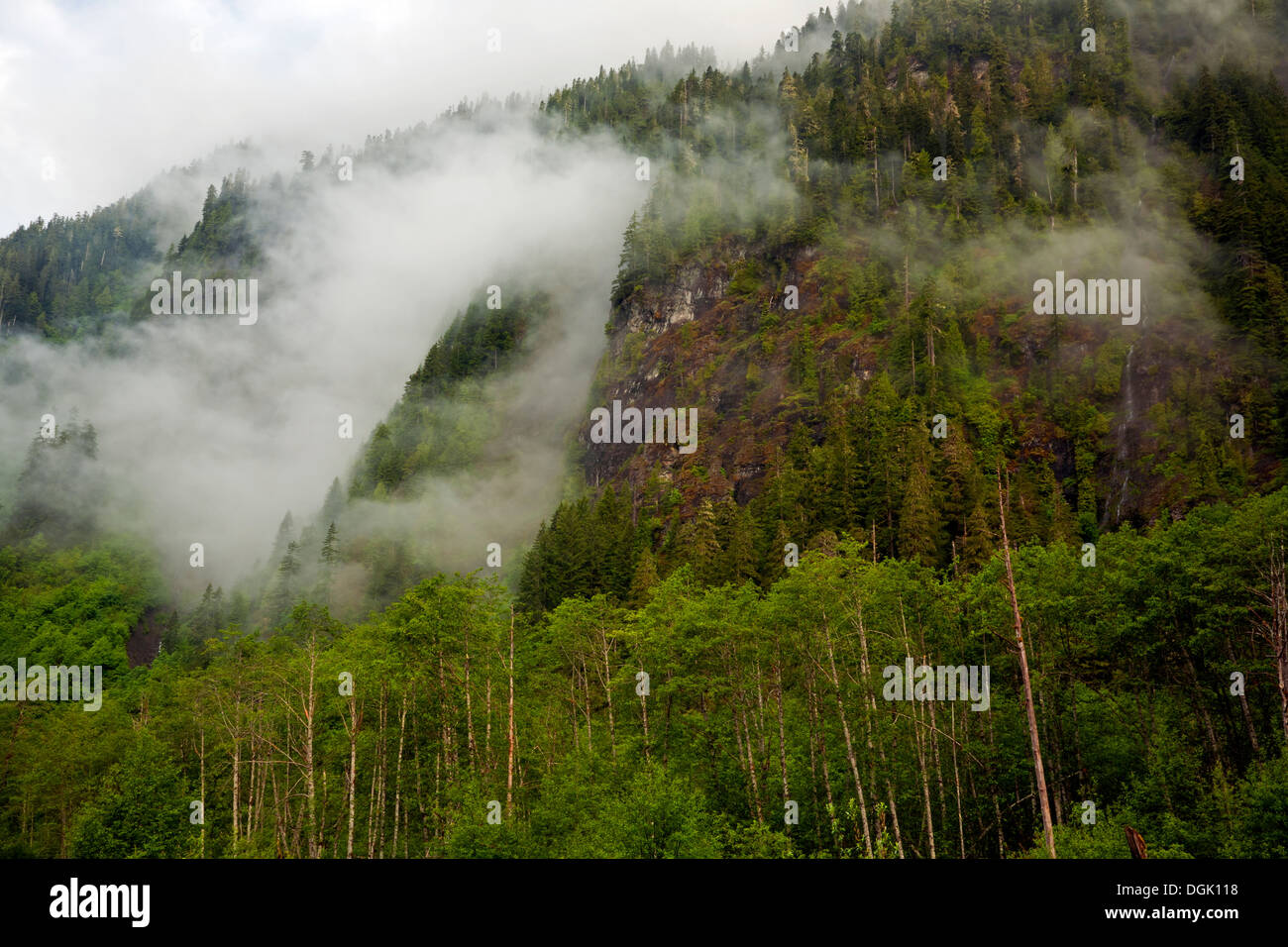 WASHINGTON - Fog on the hillsides above Enchanted Valley in Olympic ...