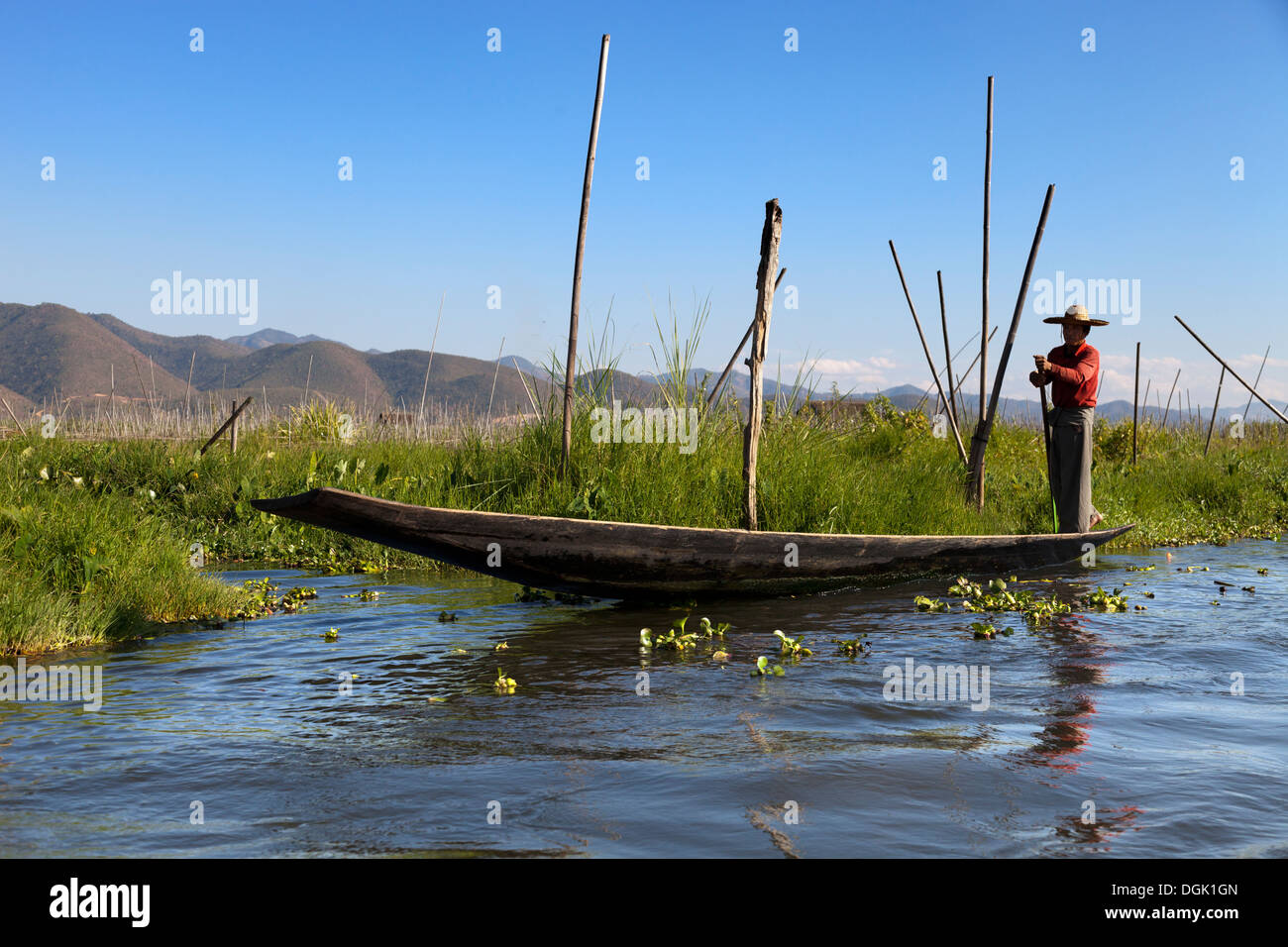 Everyday transport on back hi-res stock photography and images - Alamy