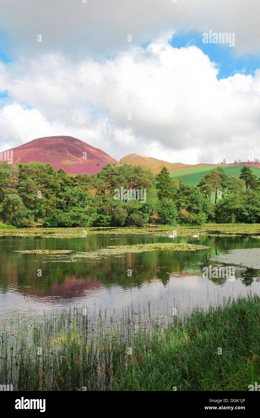 Bowden scotland hi-res stock photography and images - Alamy