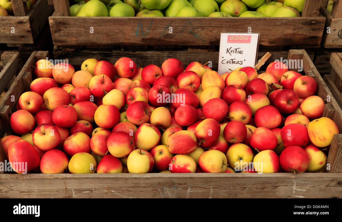 Apple 'Katy', syn. 'Katya', malus domestica, apples variety varieties ...