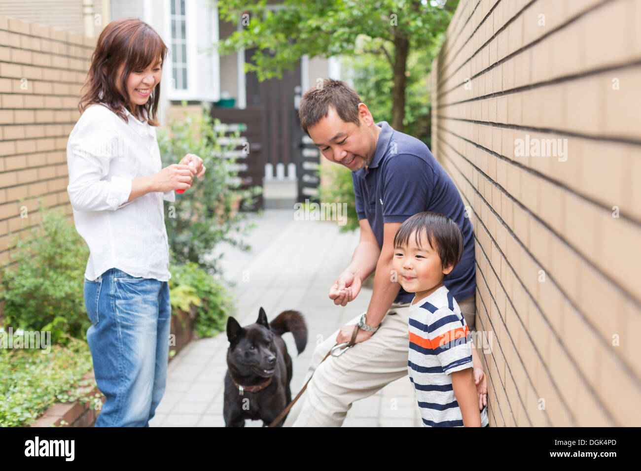 Parents with son and pet dog Stock Photo - Alamy