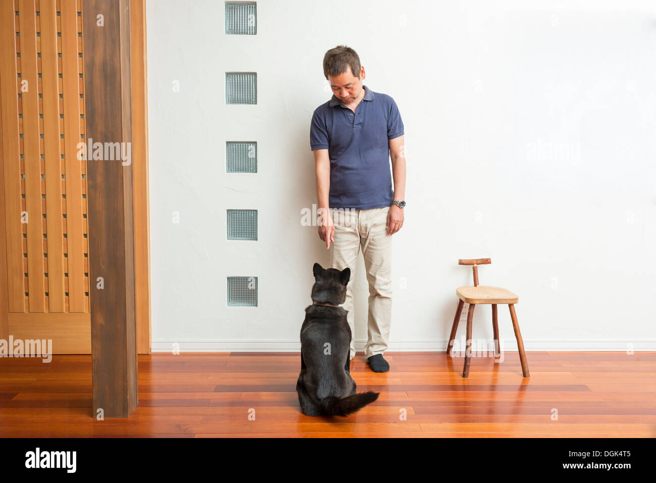 Man training his pet dog Stock Photo - Alamy