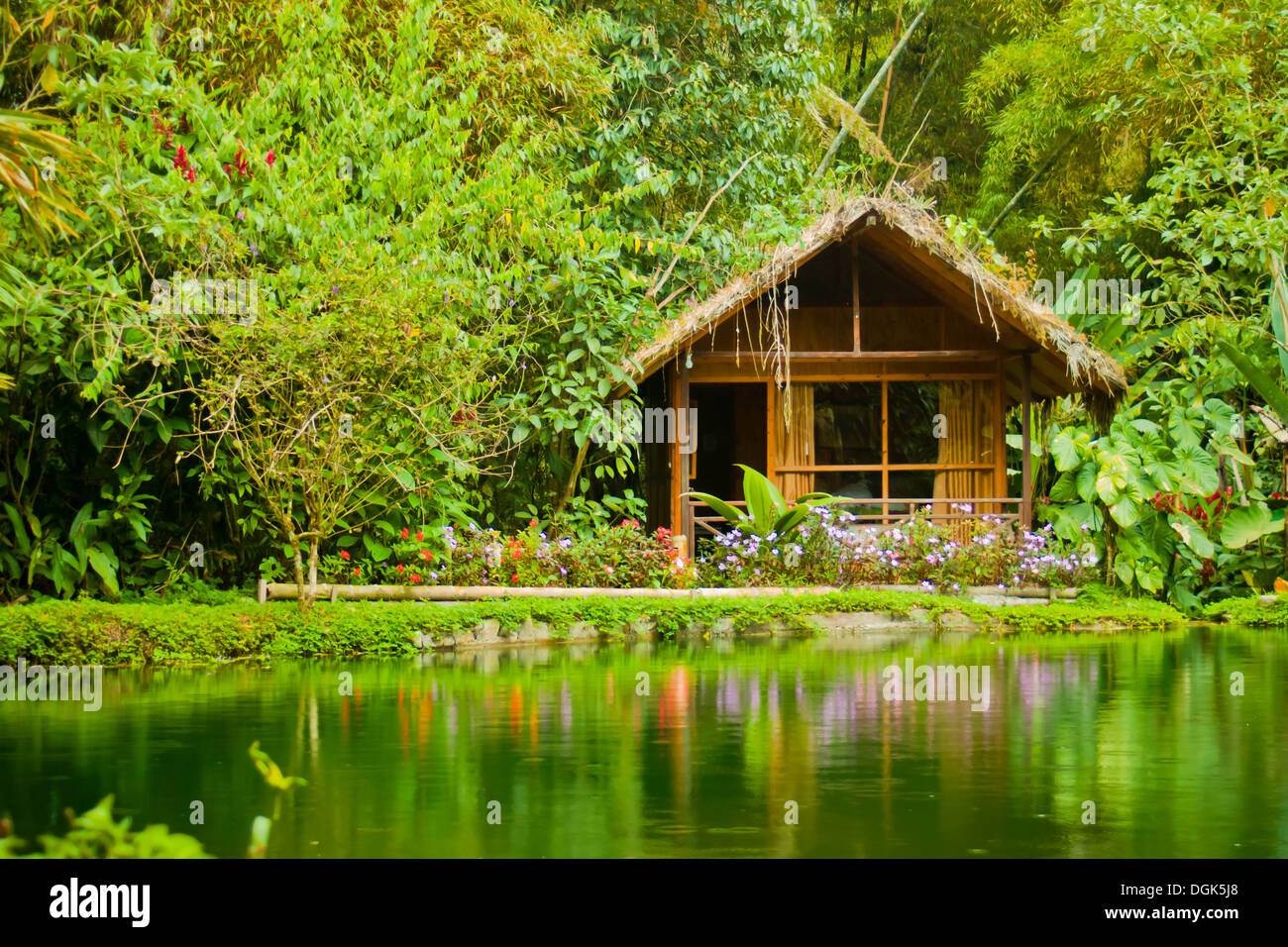 Cabin in the jungle Stock Photo - Alamy