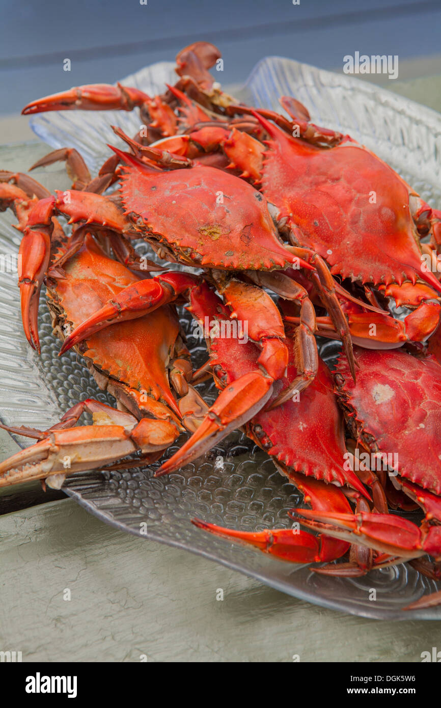 Lots of crabs hi-res stock photography and images - Alamy