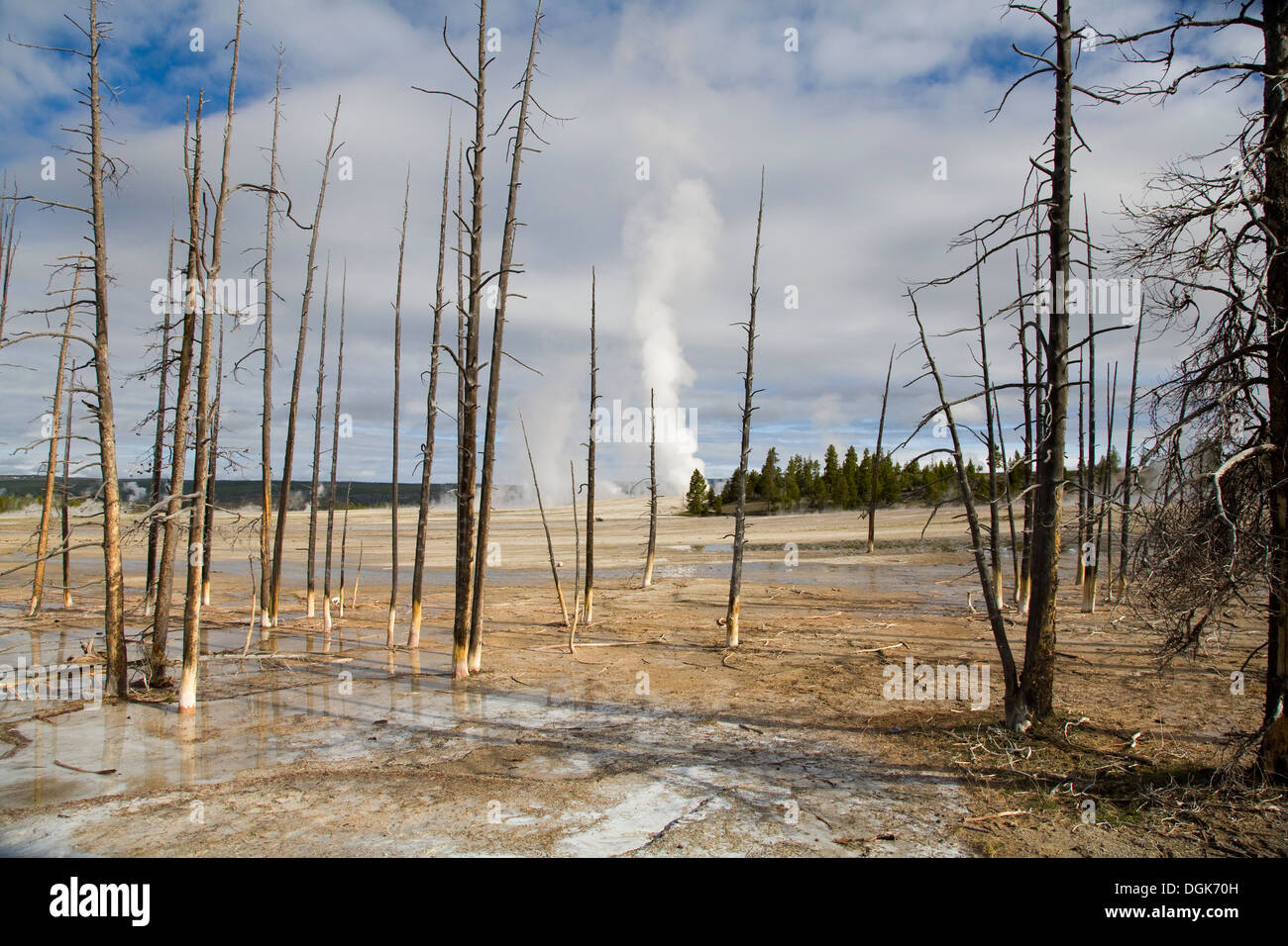 Blasted landscape hi-res stock photography and images - Alamy