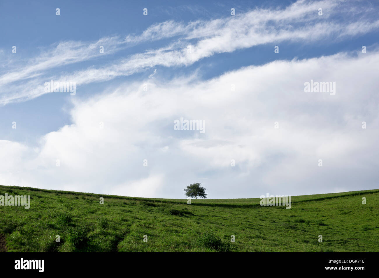 Perspective curve hi-res stock photography and images - Alamy
