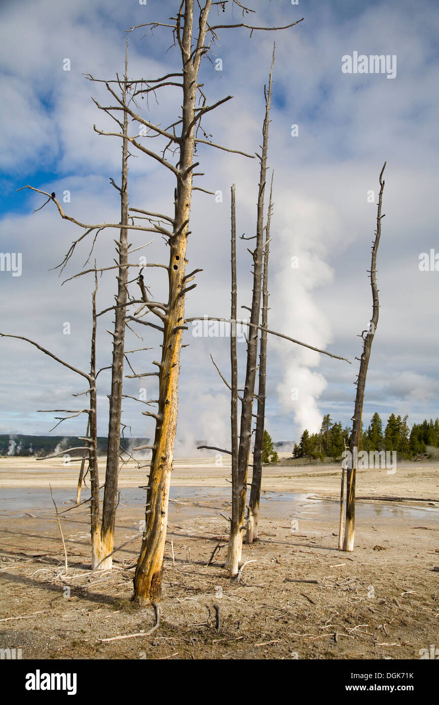 Gaseous fumes hi-res stock photography and images - Alamy