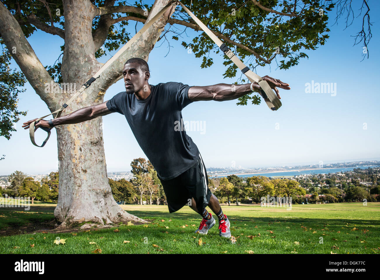Grass Rope High Resolution Stock Photography and Images - Alamy