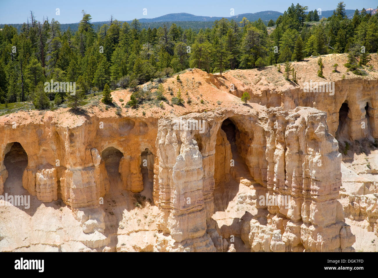 A view of Grottos in Bryce Canyon Stock Photo - Alamy