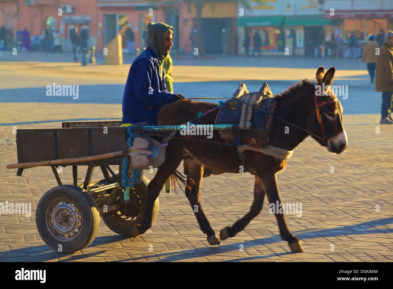 Donkey cart marrakech morocco north hi-res stock photography and images ...