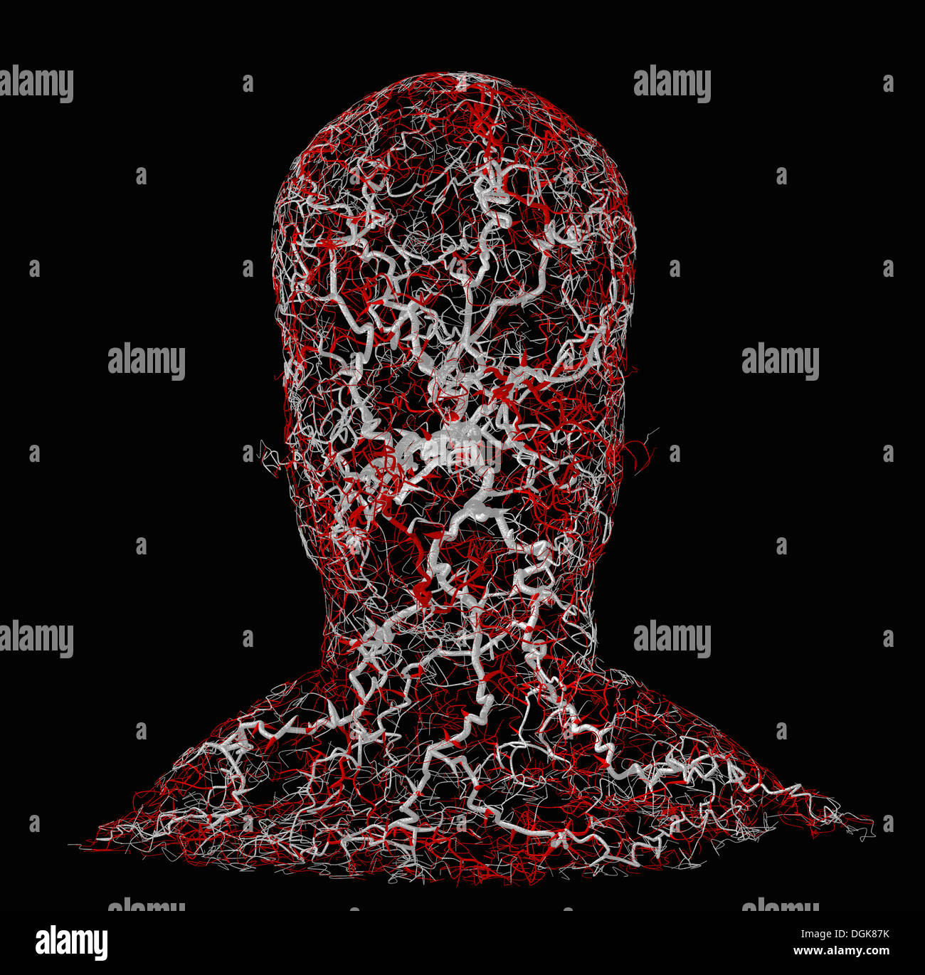 Human head with a fractal system of blood vessels Stock Photo - Alamy