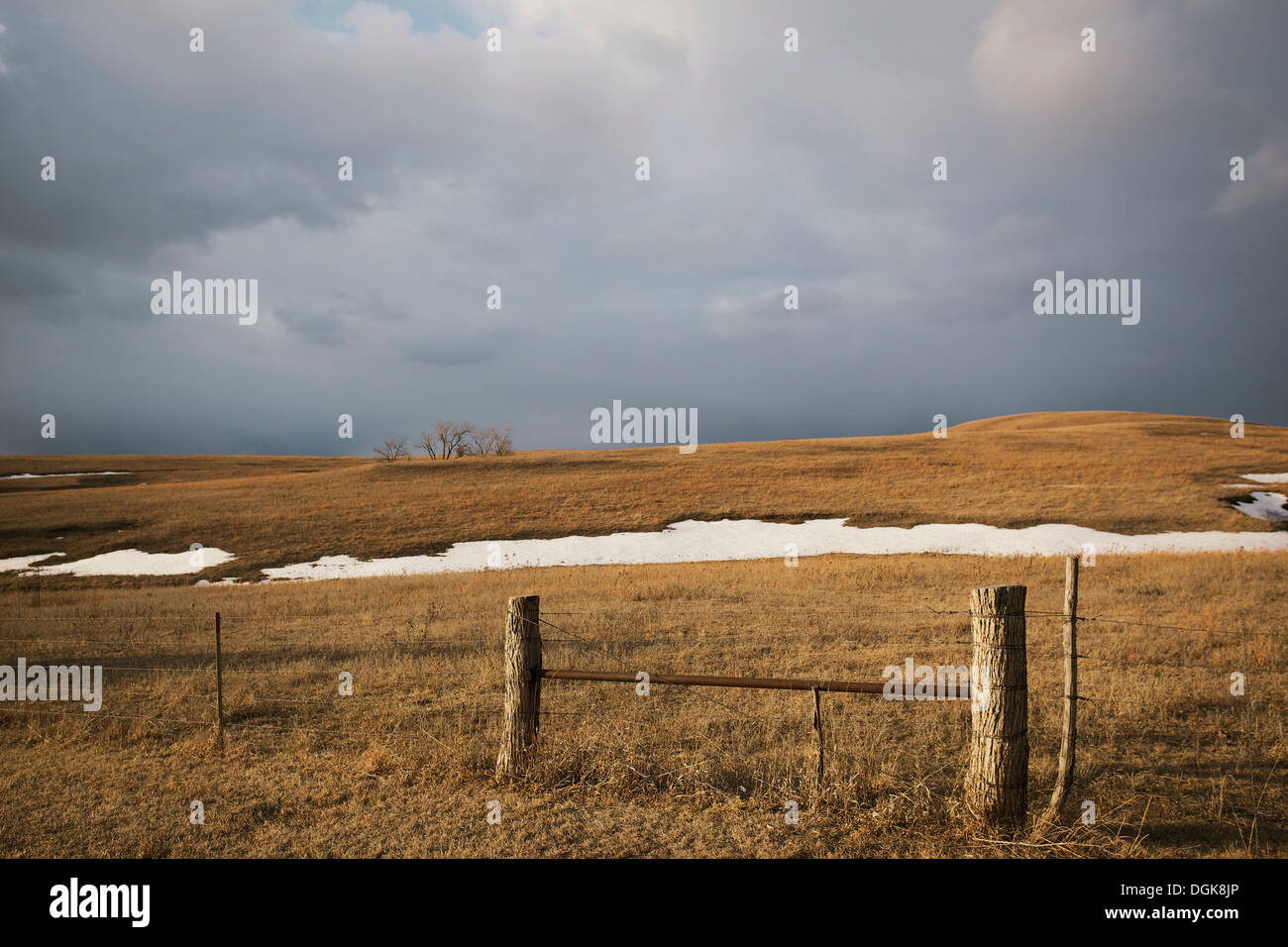 Lifeless landscape in autumn Stock Photo - Alamy