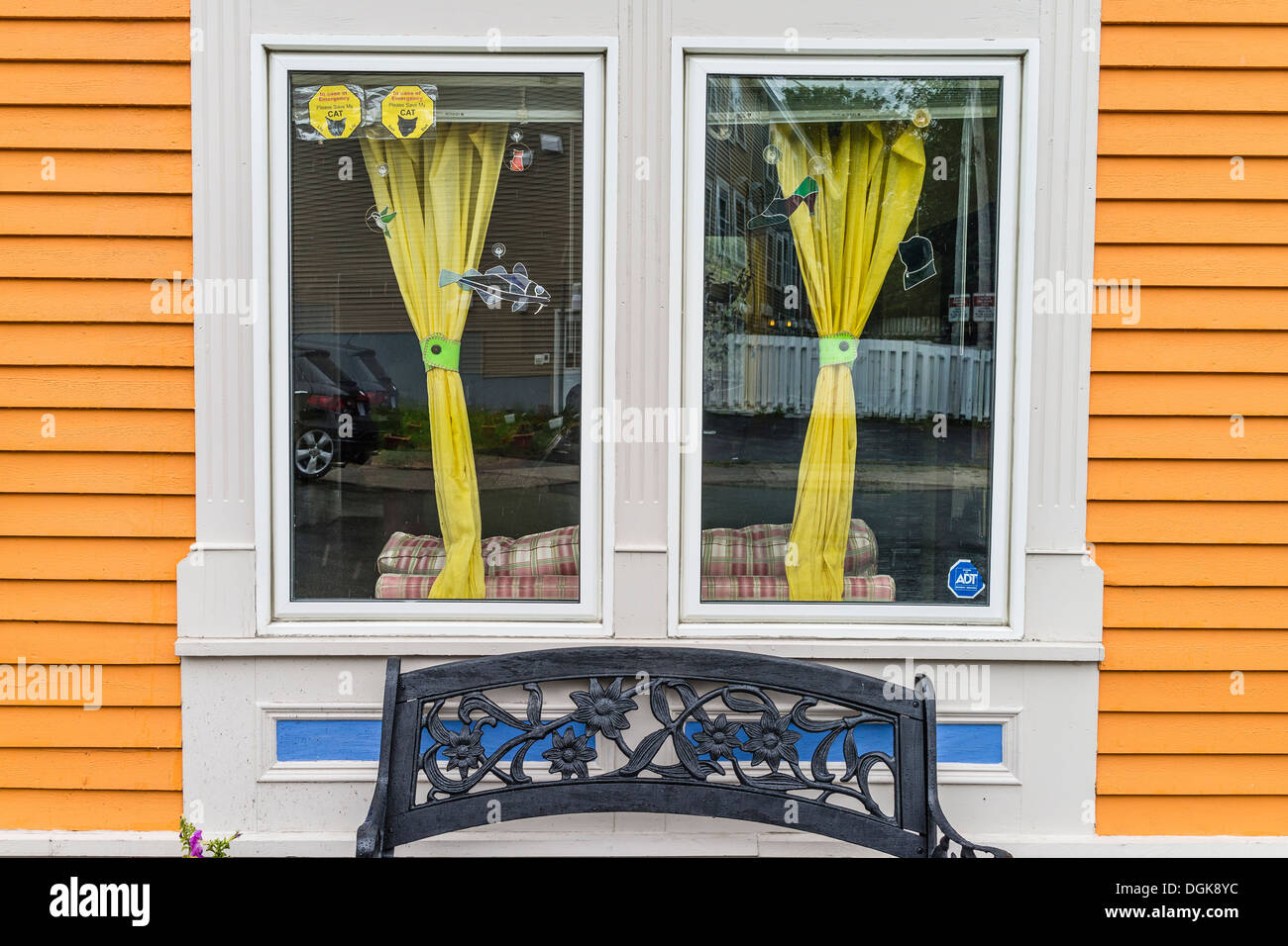 A typical, although unusual and somewhat garish, and brightly colored ...