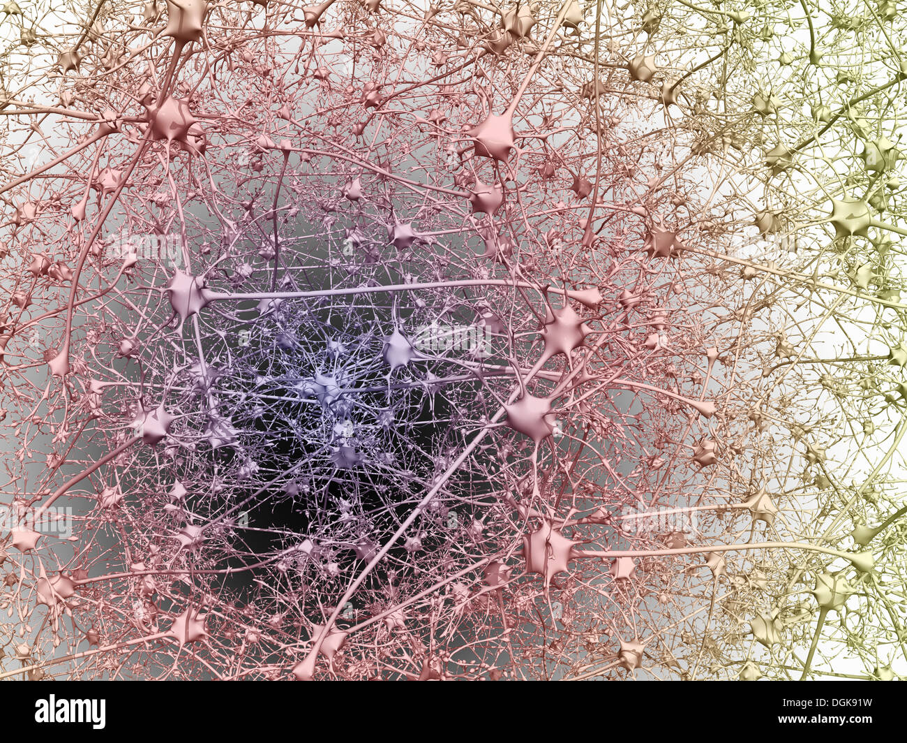 Computer graphic illustration of a neural network Stock Photo - Alamy