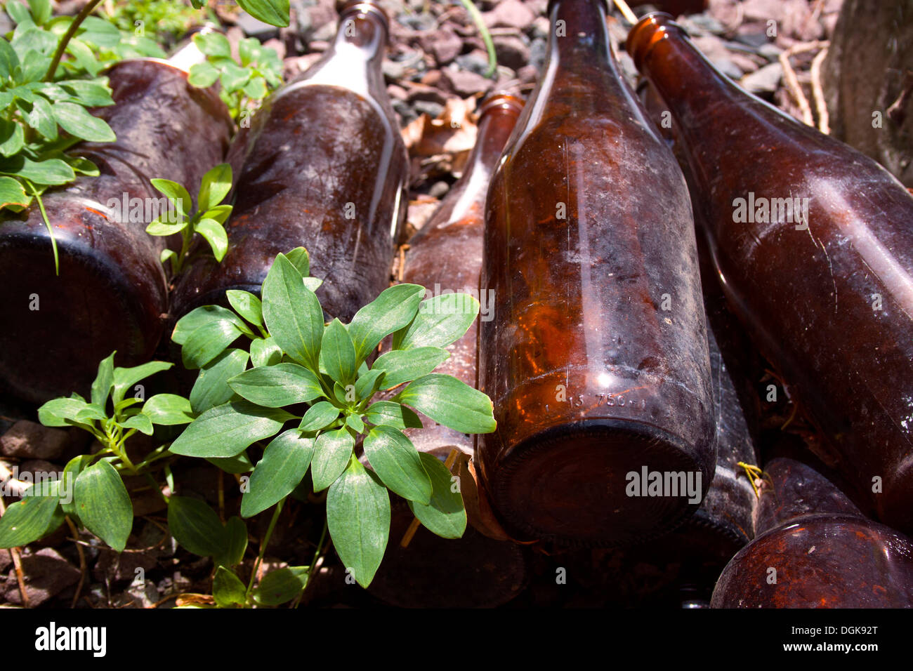 Dumped glass bottles hi-res stock photography and images - Alamy