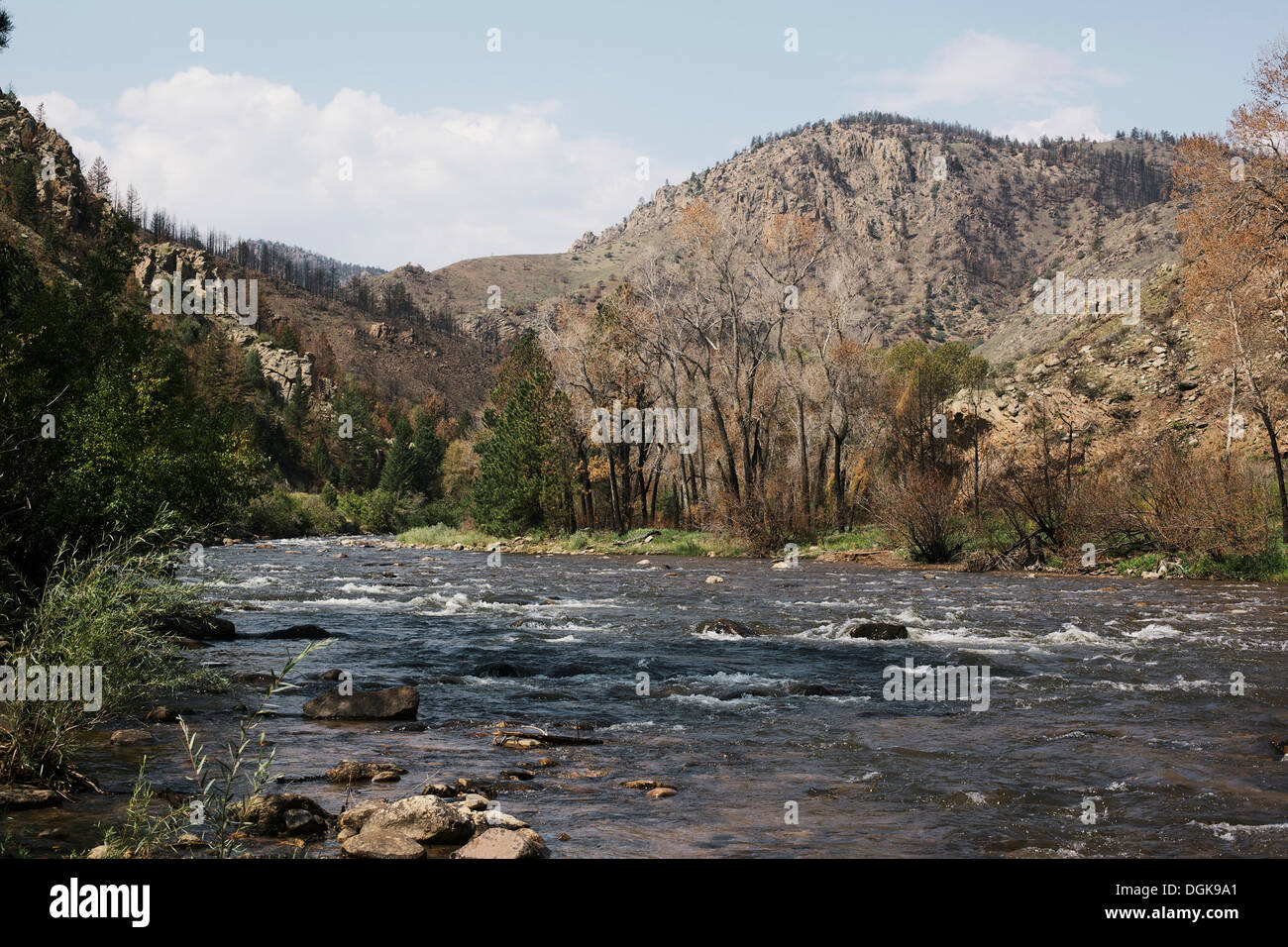 River poudre river hi-res stock photography and images - Alamy
