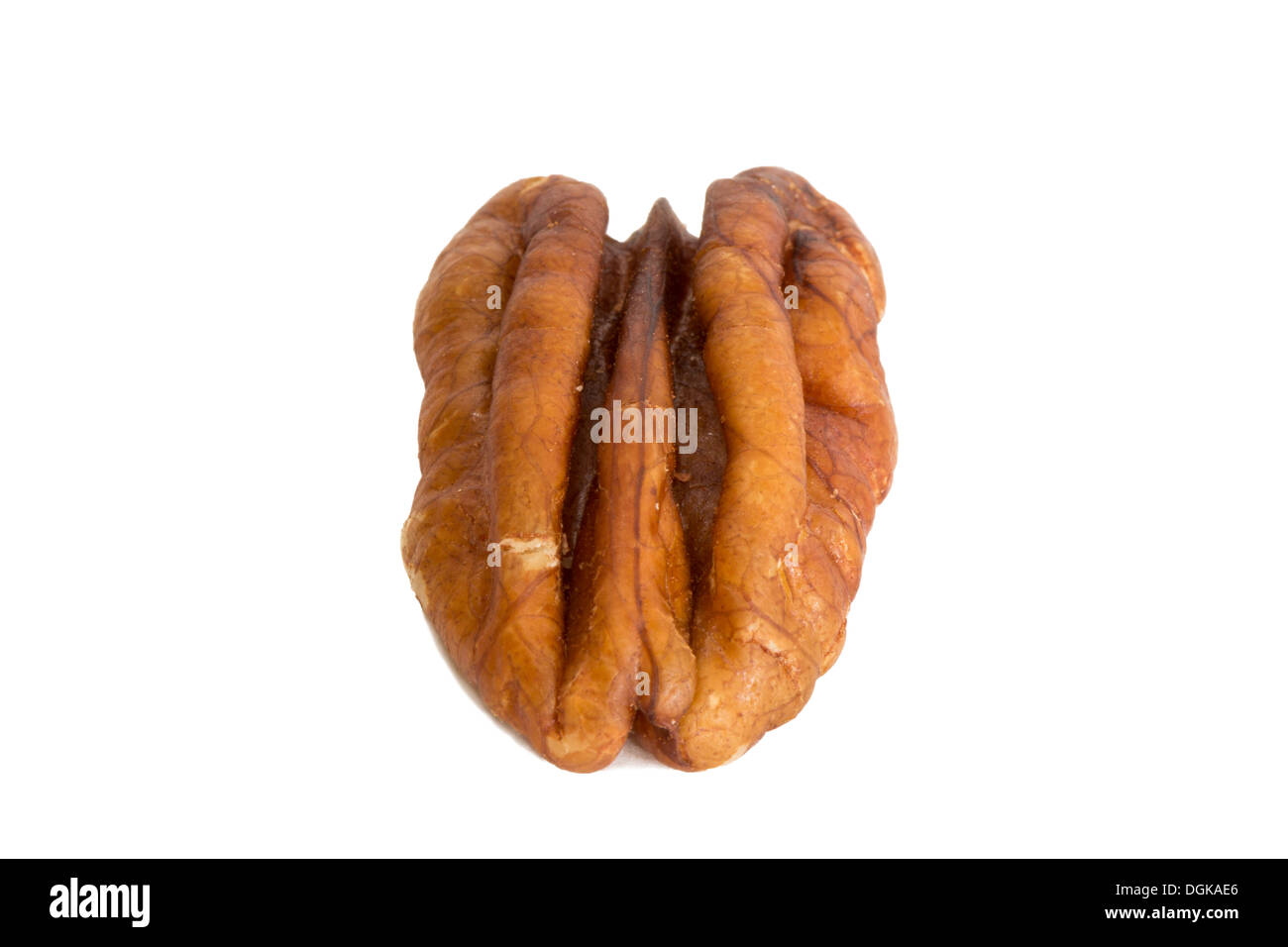 Closeup of a pecan peanut, isolated on white background Stock Photo - Alamy