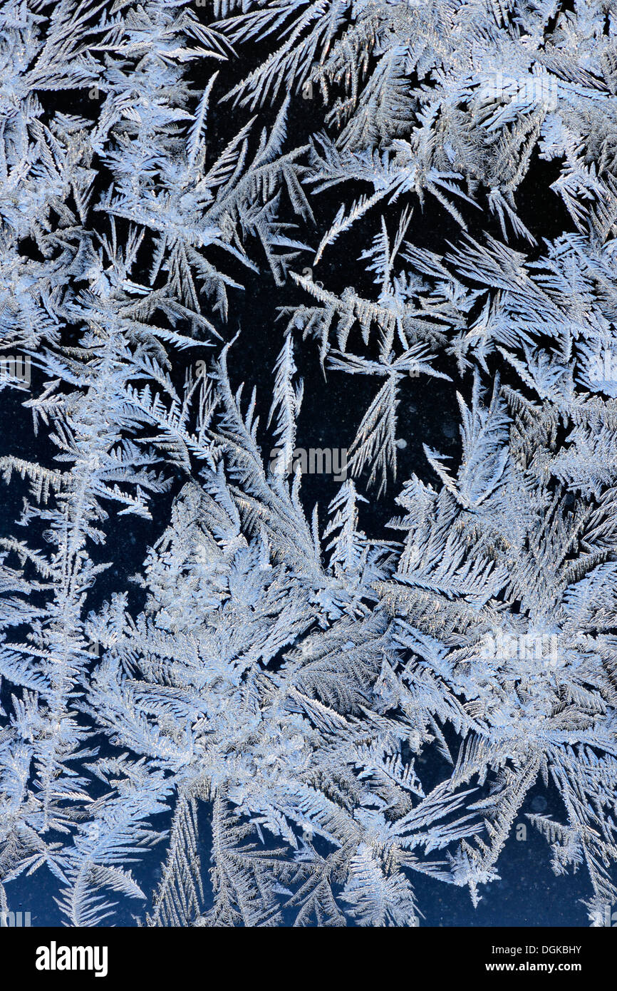 Frost feathers on a window Greater Sudbury Ontario Canada Stock Photo ...