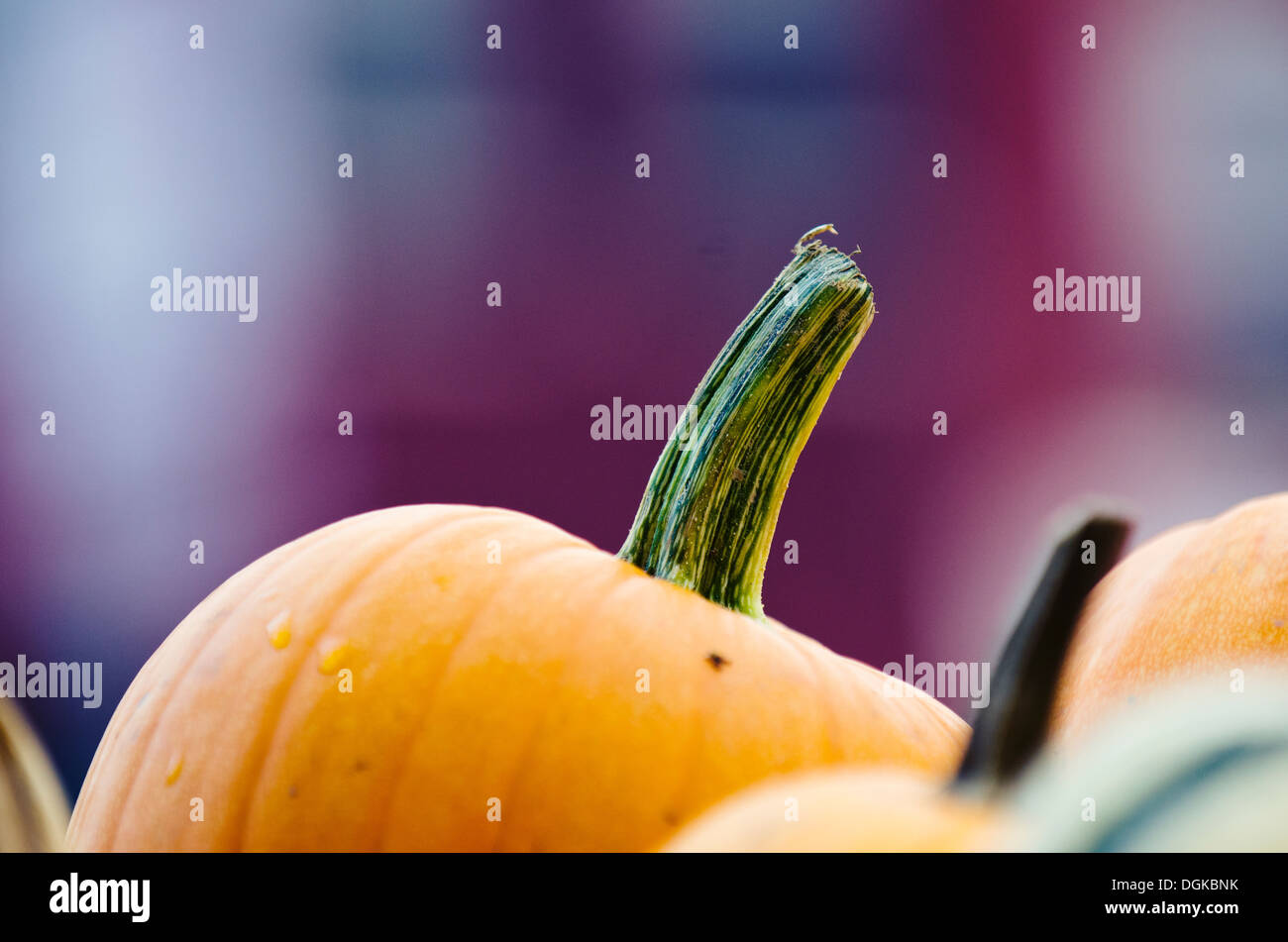 Iowa harvest autumn hi-res stock photography and images - Alamy