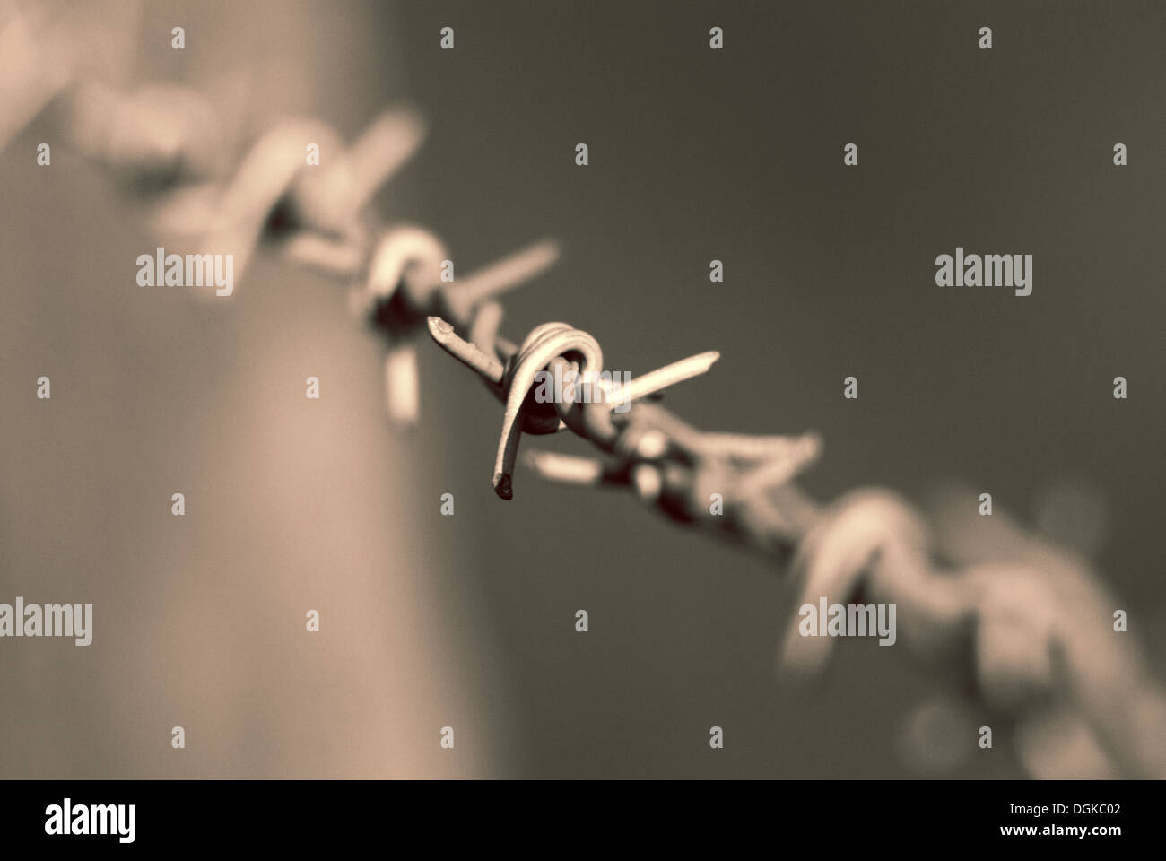 Spike Wire Stock Photos & Spike Wire Stock Images - Alamy