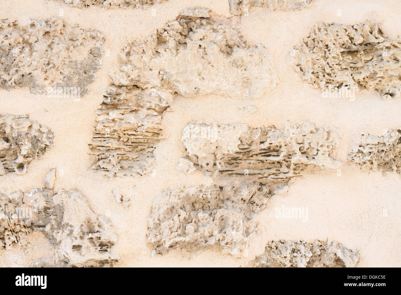 Backgrey hi-res stock photography and images - Alamy