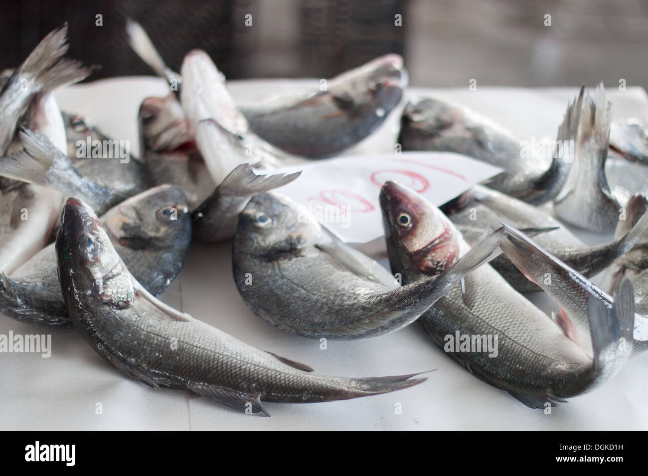 "fishing industry" fish fishes "fish market" "fresh fish" food meal raw ...