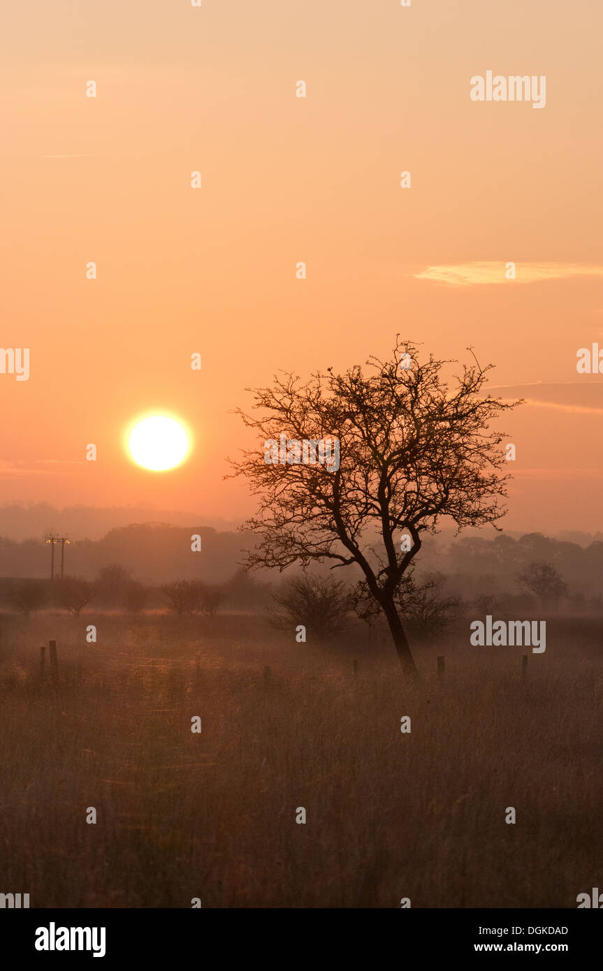Prestwick carr hi-res stock photography and images - Alamy